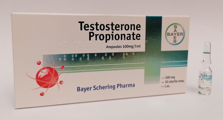 Bayer Testosterone Propionate 10 amps (10x 100 mg/ml) - BigBody.to ...